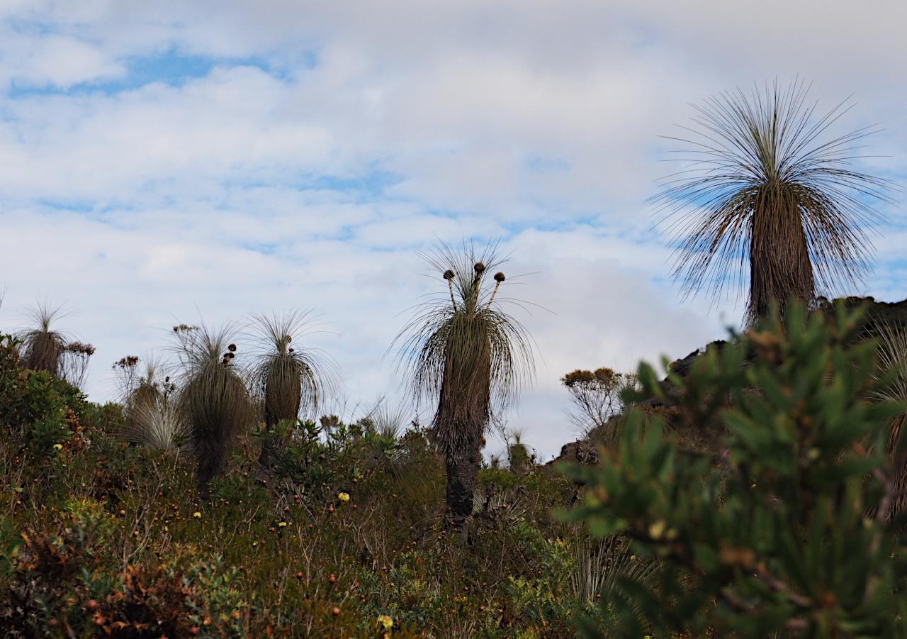 Exploring Stirling Range National Park, Southwest Western Australia